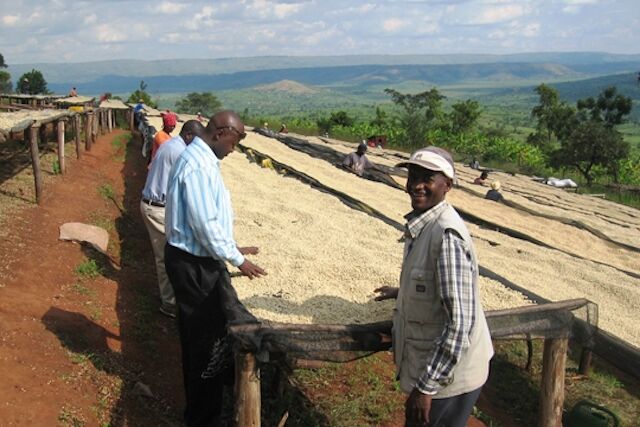 From Bean to Cup: Tracing Rwandan Coffee