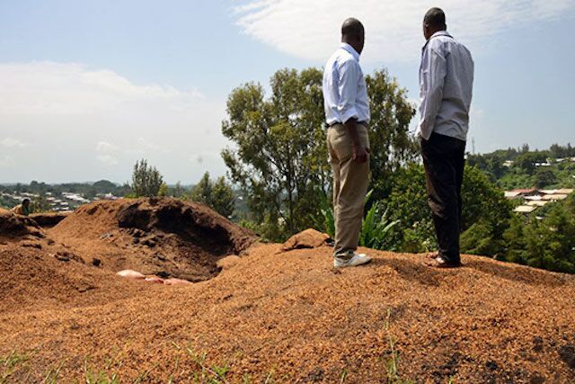 Learning How to Create a Coffee Husk Market in Ethiopia