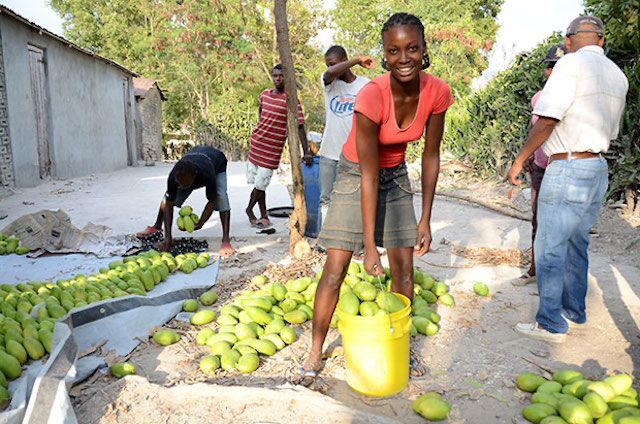 Finding a Sustainable Impact in Haiti Requires Innovation