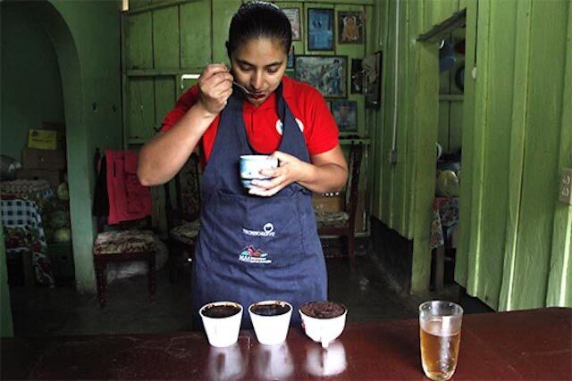 One Family Farm Creates Its Livelihood on Coffee