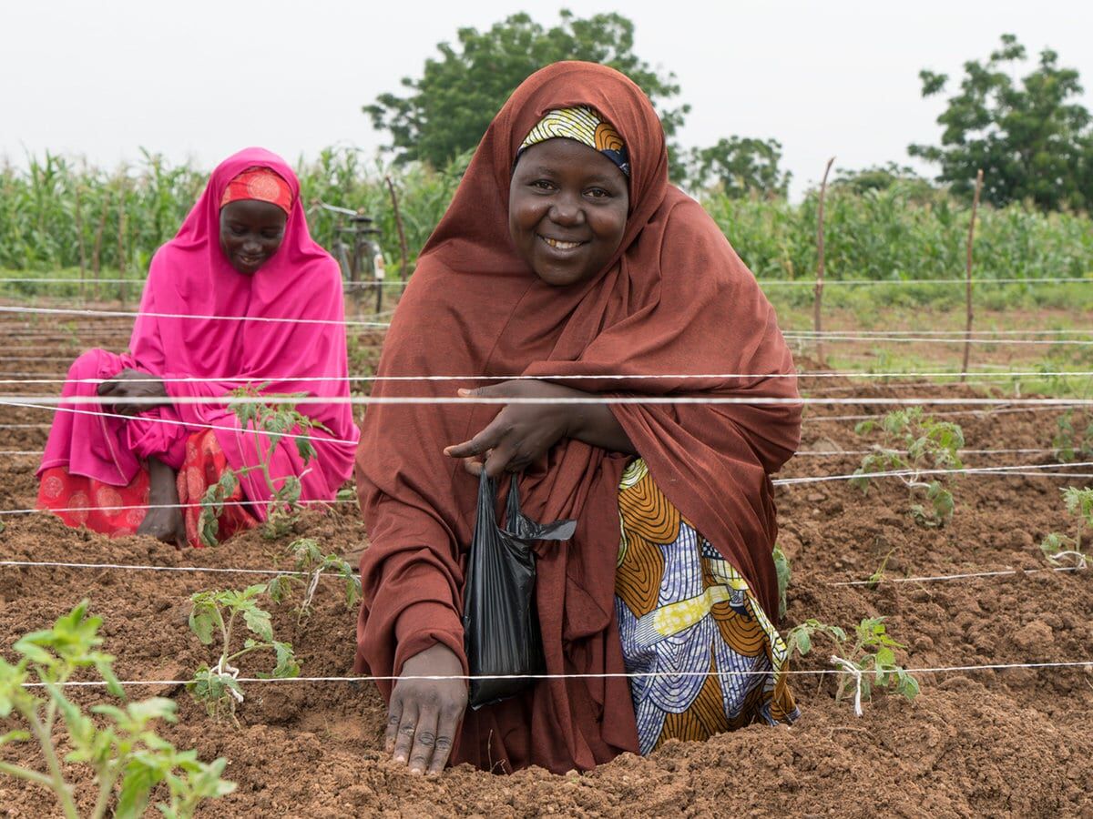 Enterprise Development in Nigeria - TechnoServe