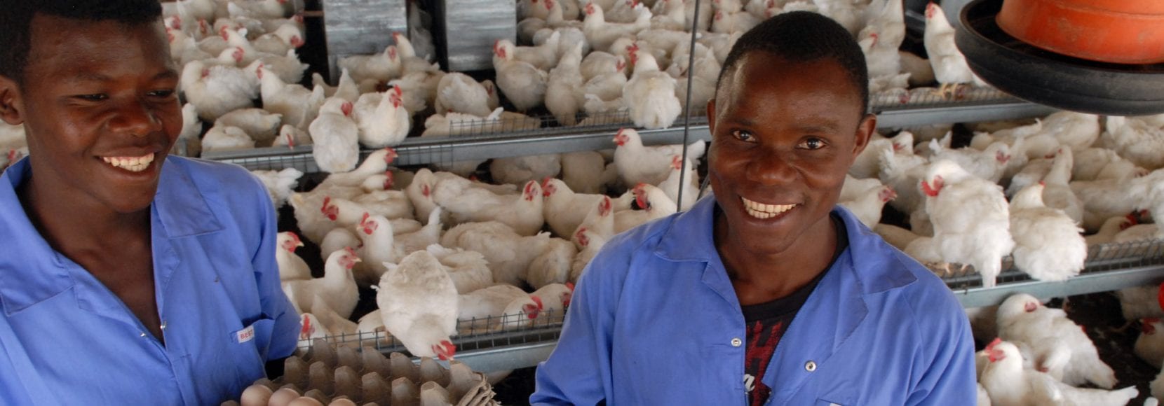 What is a Market System? - TechnoServe Business Solutions to Poverty