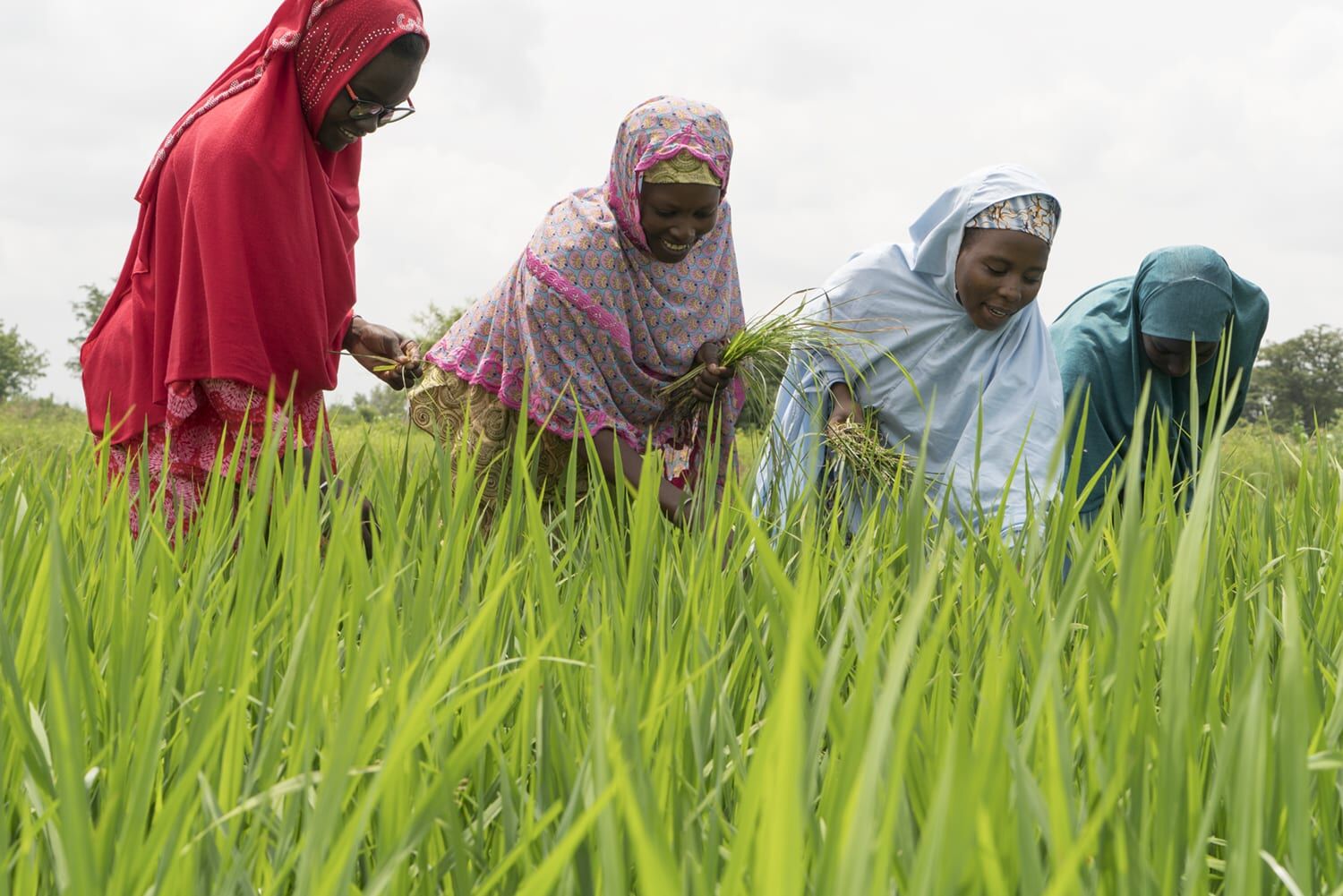 TechnoServe is Rated #1 Nonprofit for Reducing Poverty