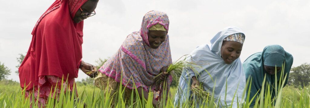 TechnoServe is Rated #1 Nonprofit for Reducing Poverty