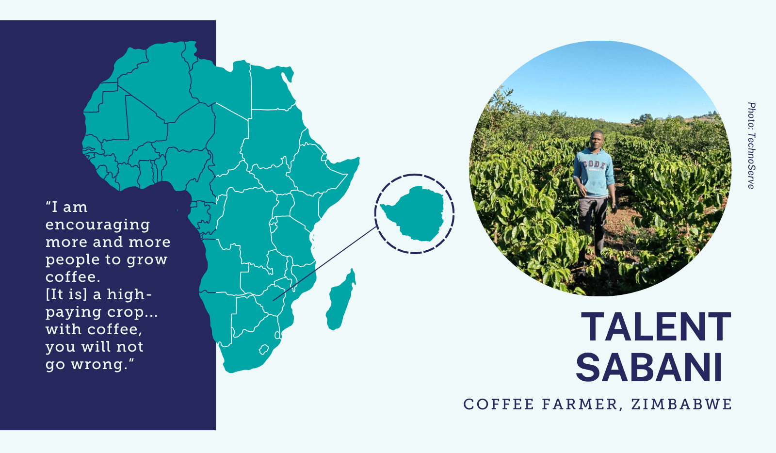 Coffee Farming in Zimbabwe: A Journey to Growth & Impact