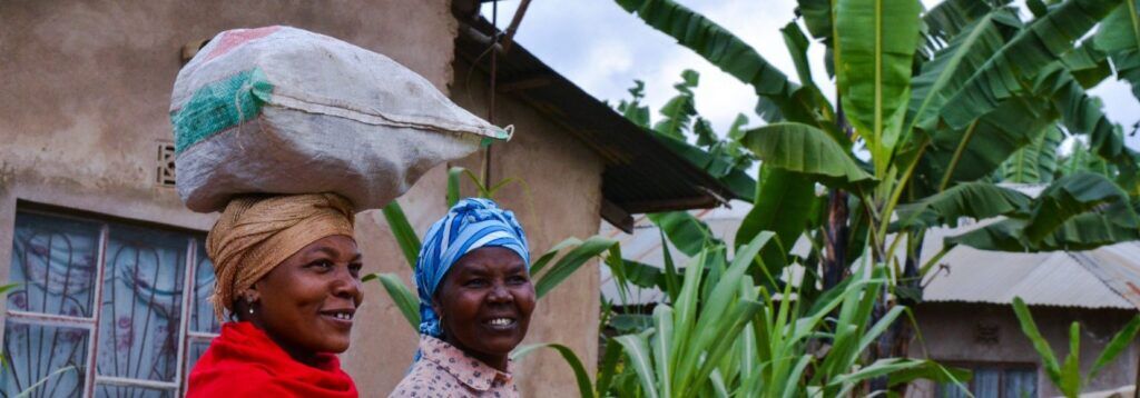 Food Security: Strengthening Every Link in the Supply Chain
