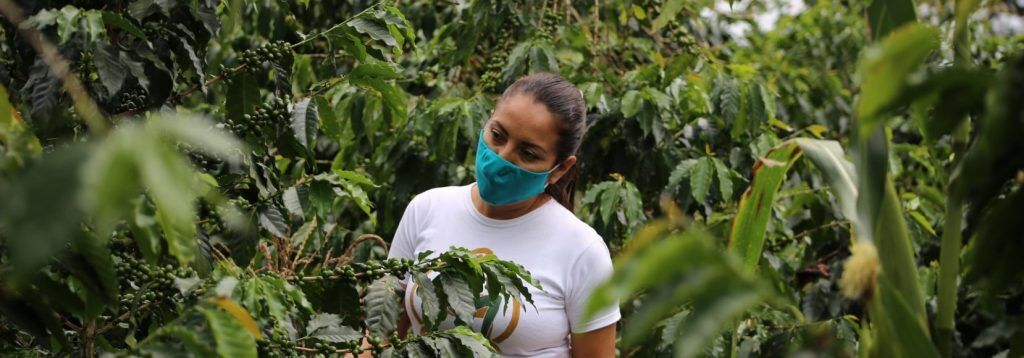 How We Support Smallholder Coffee Farmers | TechnoServe