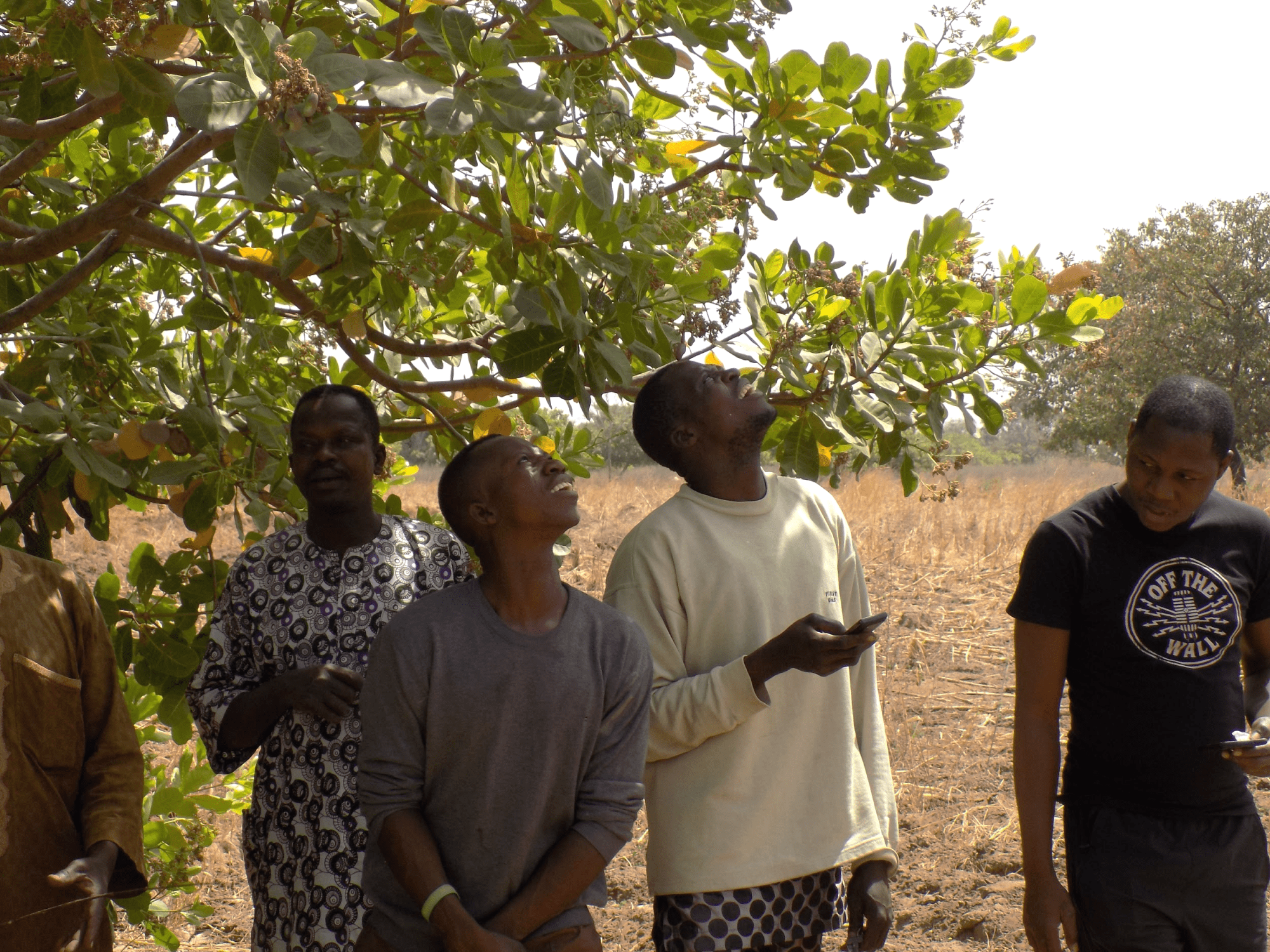 TechnoServe and Alteia Partner to Deploy AI Solutions for Climate-Smart ...