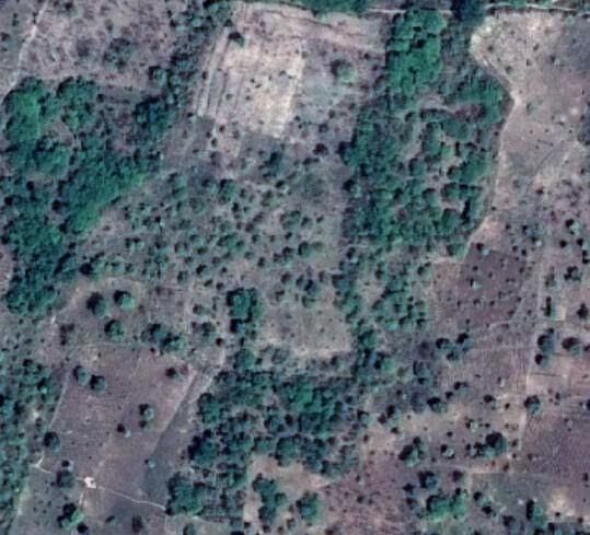 Remote Sensing and Satellite Imagery Providing Data for African Cashews ...