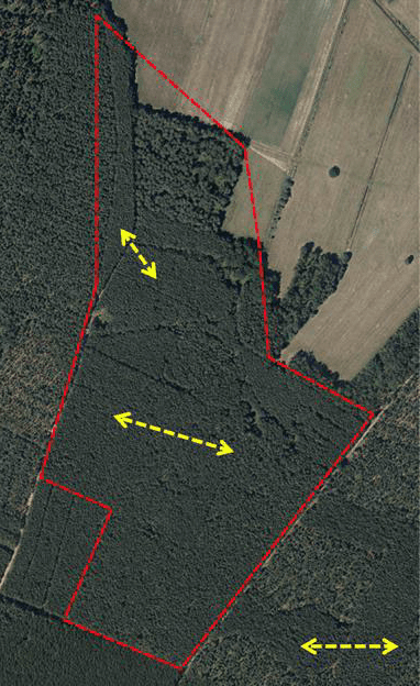Remote Sensing and Satellite Imagery Providing Data for African Cashews ...