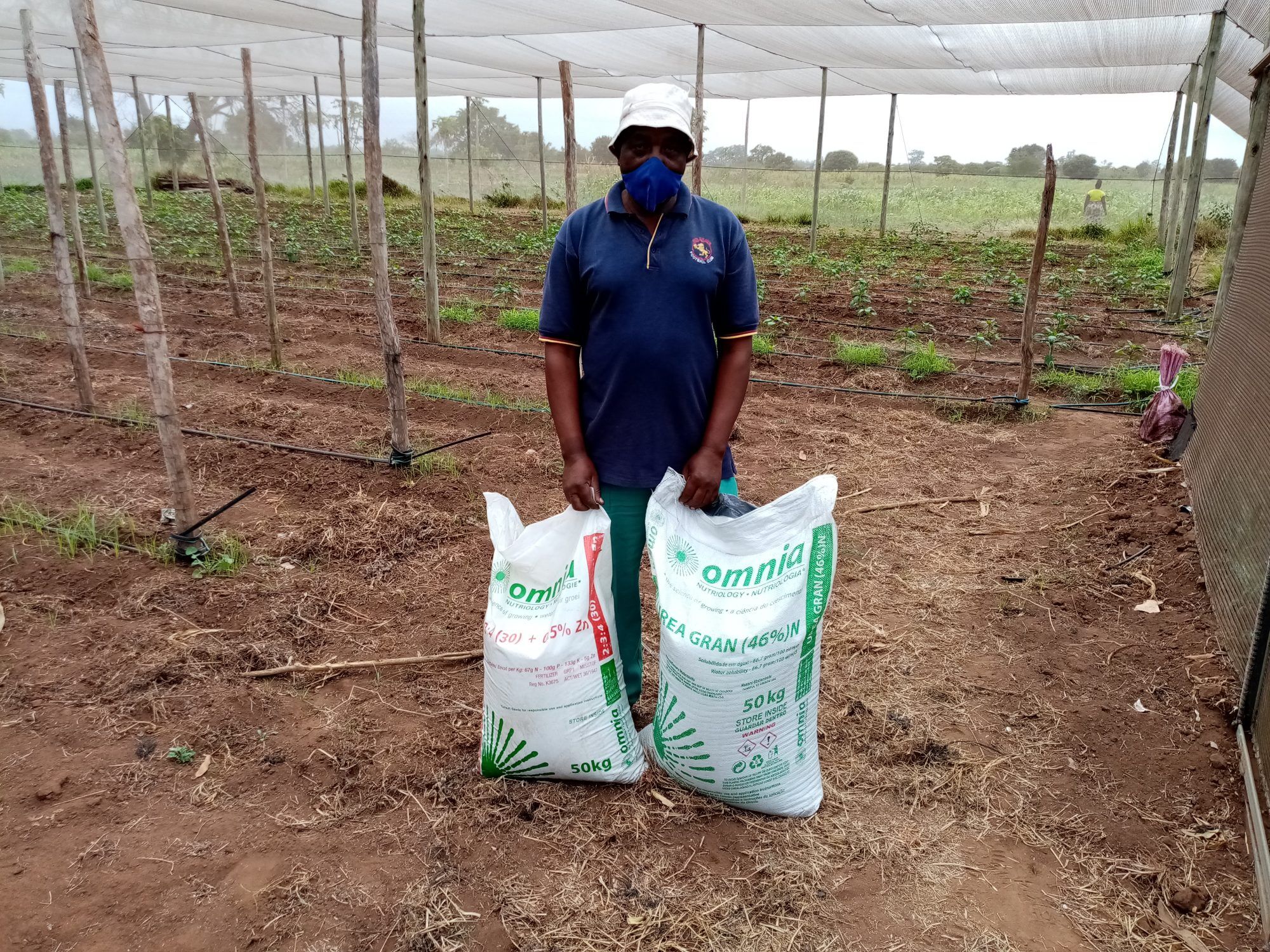 3 Steps for Increased Farm Productivity in Mozambique - TechnoServe