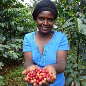 Strategic Initiatives Team - TechnoServe Business Solutions to Poverty