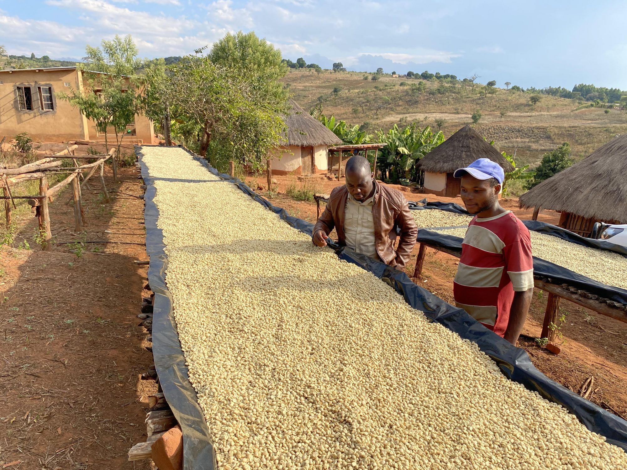 A Farmer Trainer in Zimbabwe Helps His Fellow Citizens Fight Climate ...