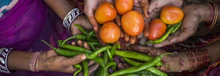 What Is Food Security and How Does it Affect the World? - TechnoServe
