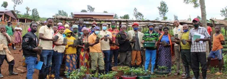 Sowing Seeds of Hope in Rwanda - TechnoServe