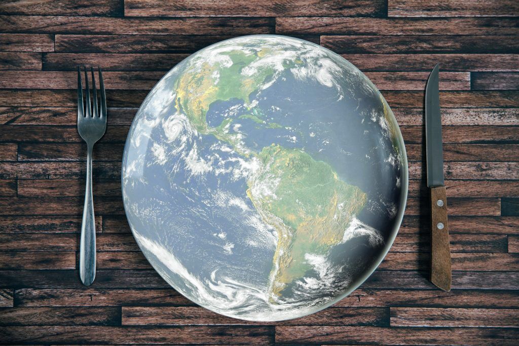 Three Major Differences Between Hunger and Food Insecurity - TechnoServe