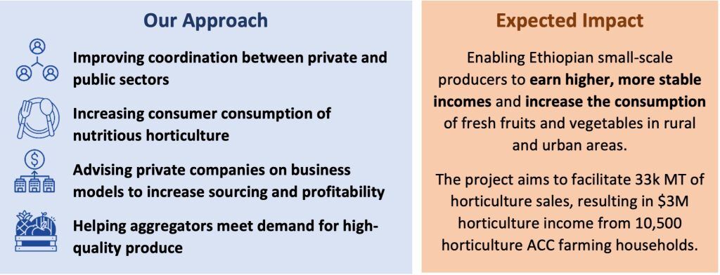 Horticulture Growth Program | Transforming Ethiopia's Horticulture Sub ...
