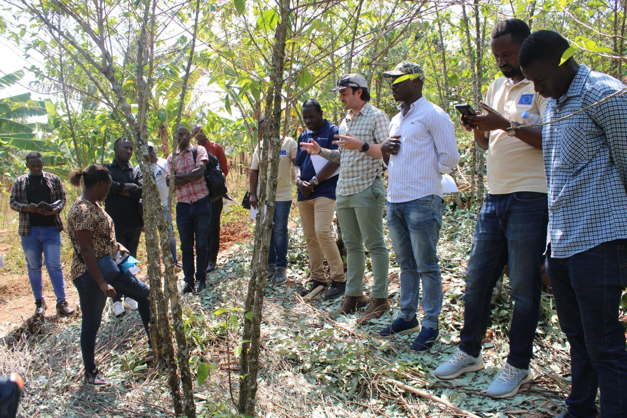 Coffee Farming Best Practices: A New Mobile App - TechnoServe