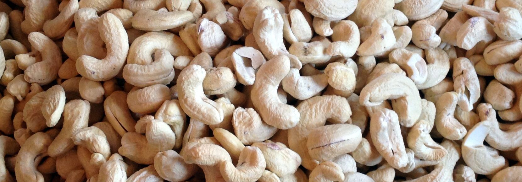 Best quality cashew nuts in the world store