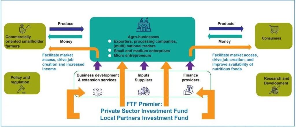 FTF Premier – Oholo (PRO) Project - TechnoServe Business Solutions to ...