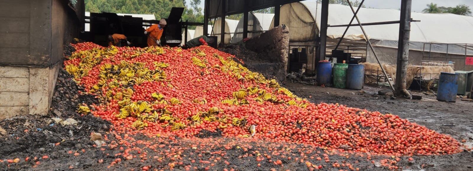 Unlocking the Upcycling Potential in Kenya’s Tomato Value Chain