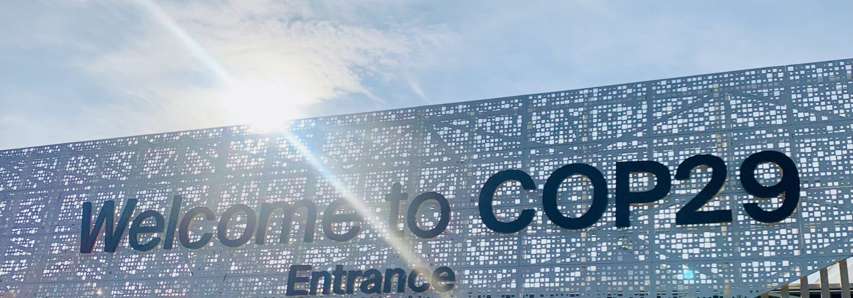 COP29 Explained: Key Decisions & Climate Movement