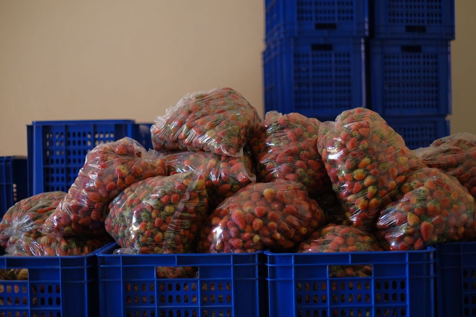Understanding Food Systems: Key Components & Impacts