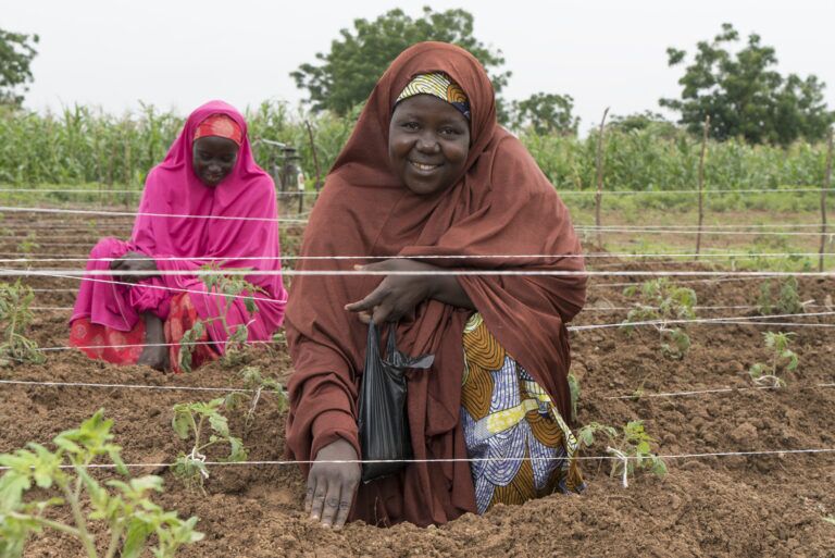 Understanding Food Systems: Key Components & Impacts