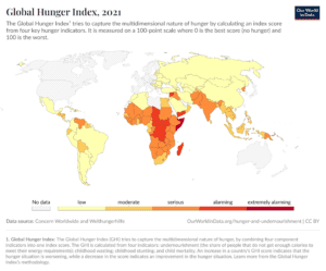 Food Insecurity Explained: Causes, Effects & Solutions