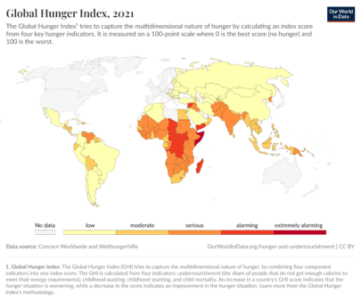 Food Insecurity Explained: Causes, Effects & Solutions