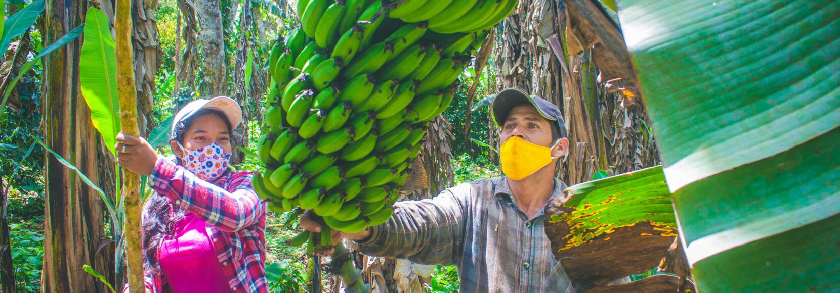 World Hunger: Causes, Effects, and Solutions - TechnoServe