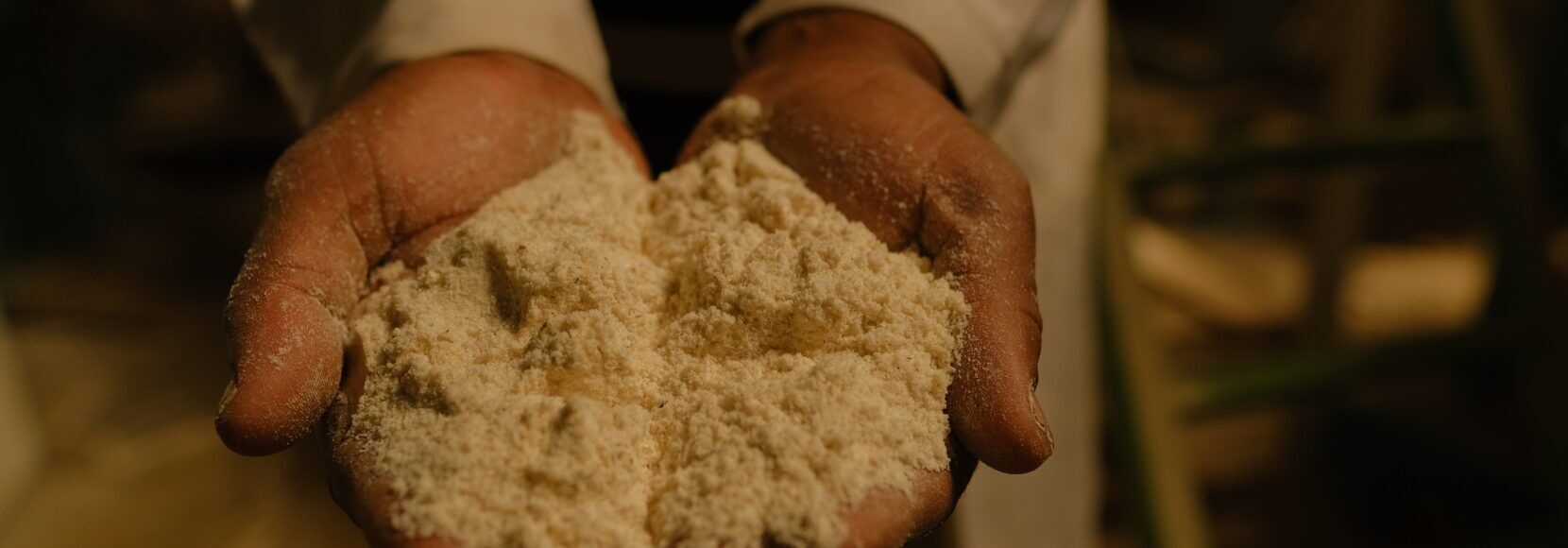 Food Fortification: Tackling Malnutrition at Scale