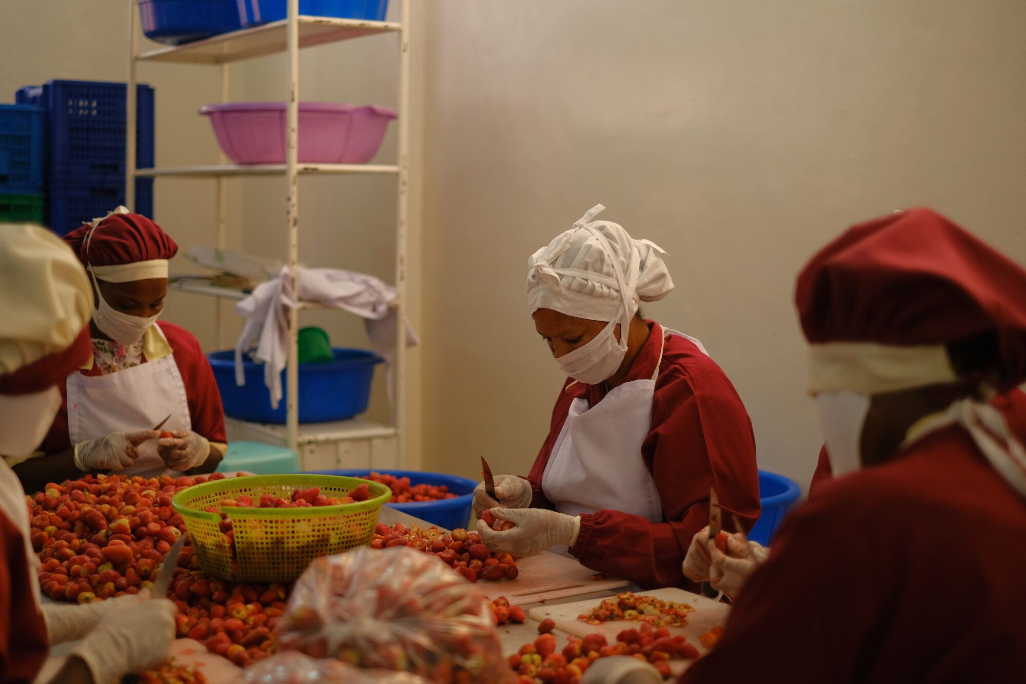 World Food Safety Day 2026: Theme, Facts & How to Help