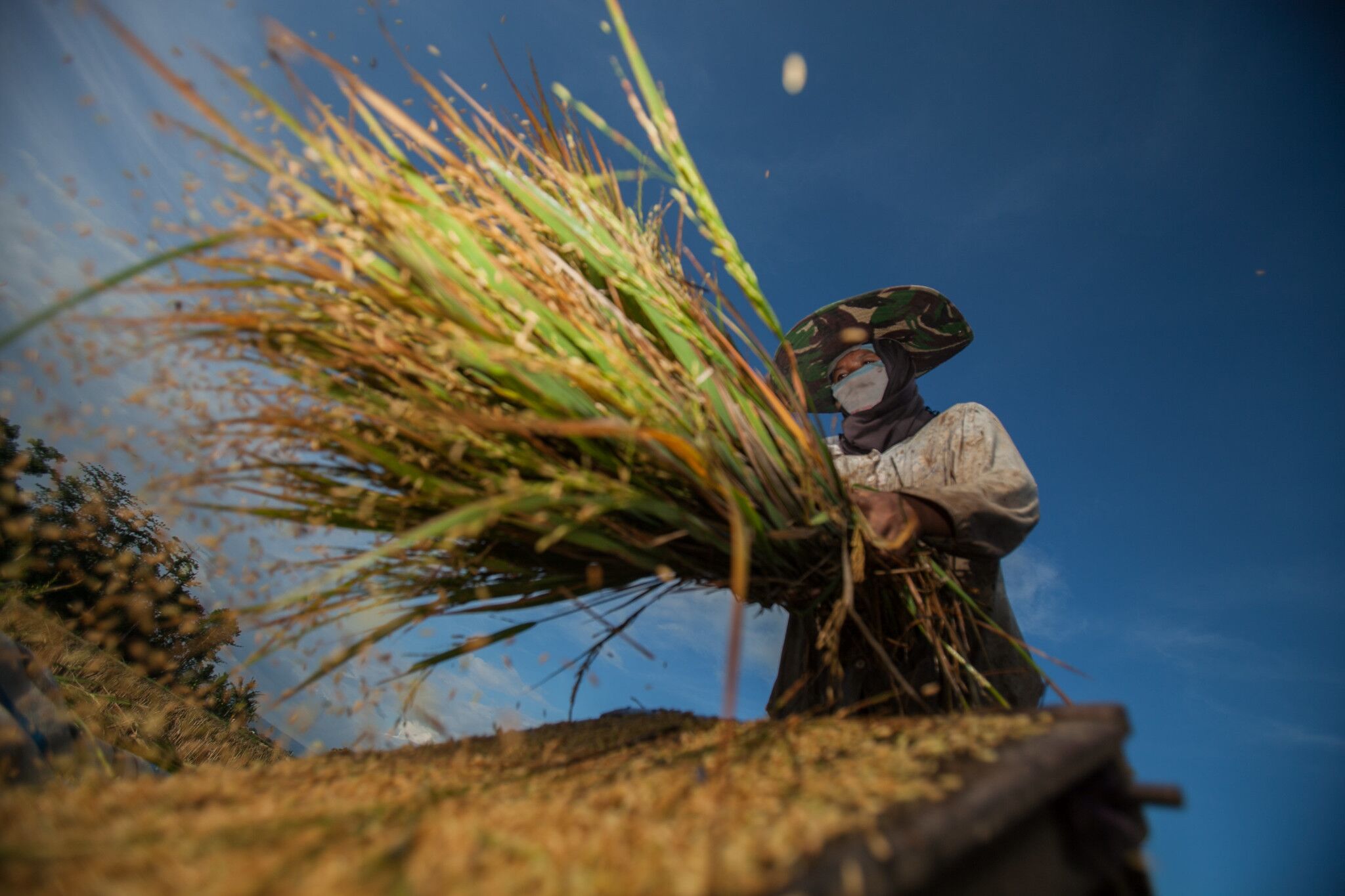 Food Fortification Programs: Scaling Nutrition to Fight Malnutrition