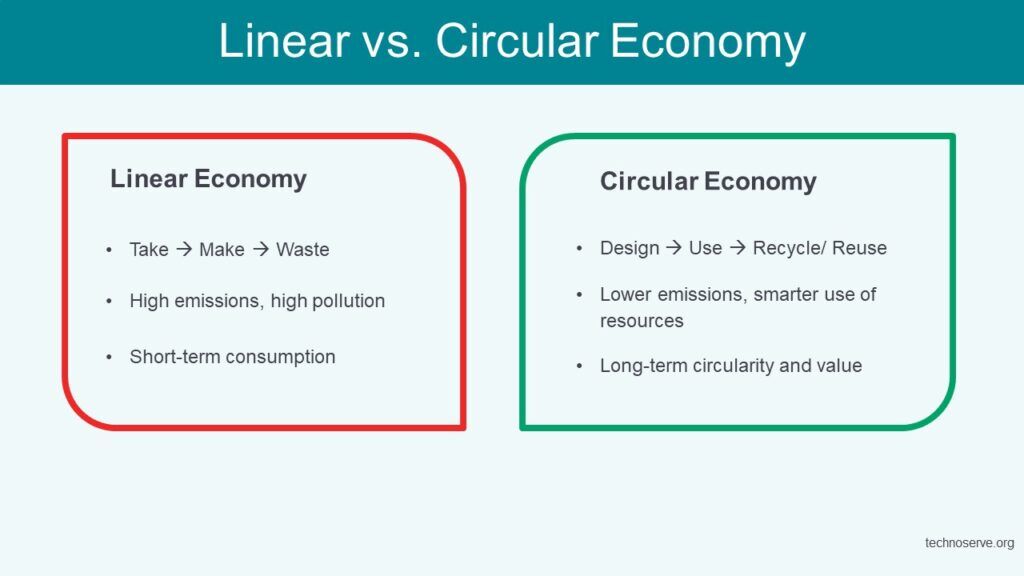Explore the Circular Economy: Definition & Sustainable Impact