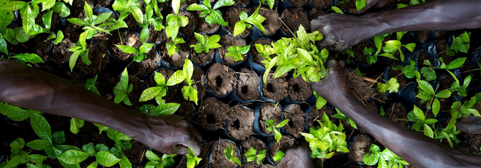 Explore the Circular Economy: Definition & Sustainable Impact