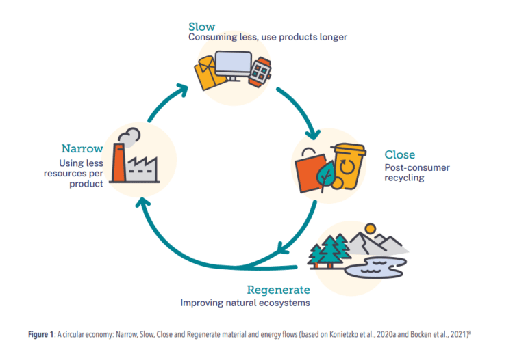 Explore the Circular Economy: Definition & Sustainable Impact