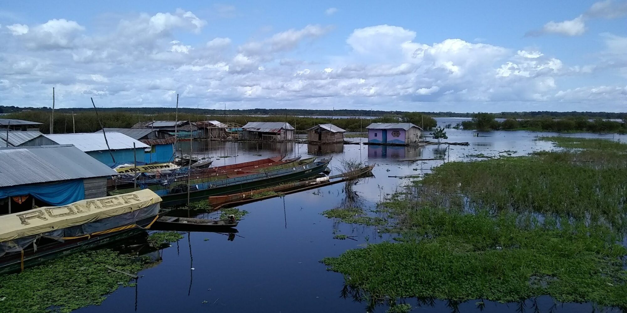 Economic Development in the Amazon Rainforest | TechnoServe
