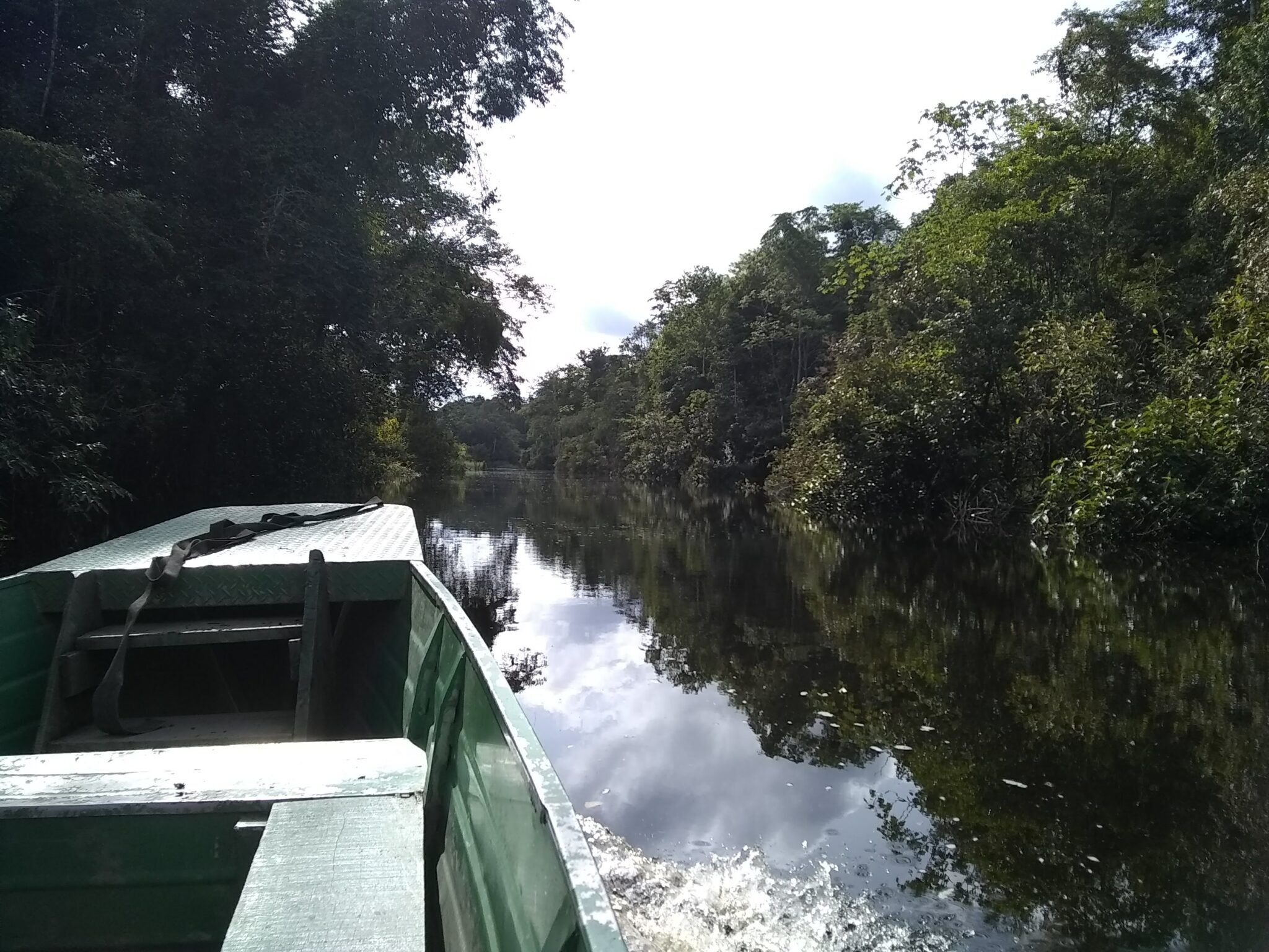Economic Development in the Amazon Rainforest | TechnoServe