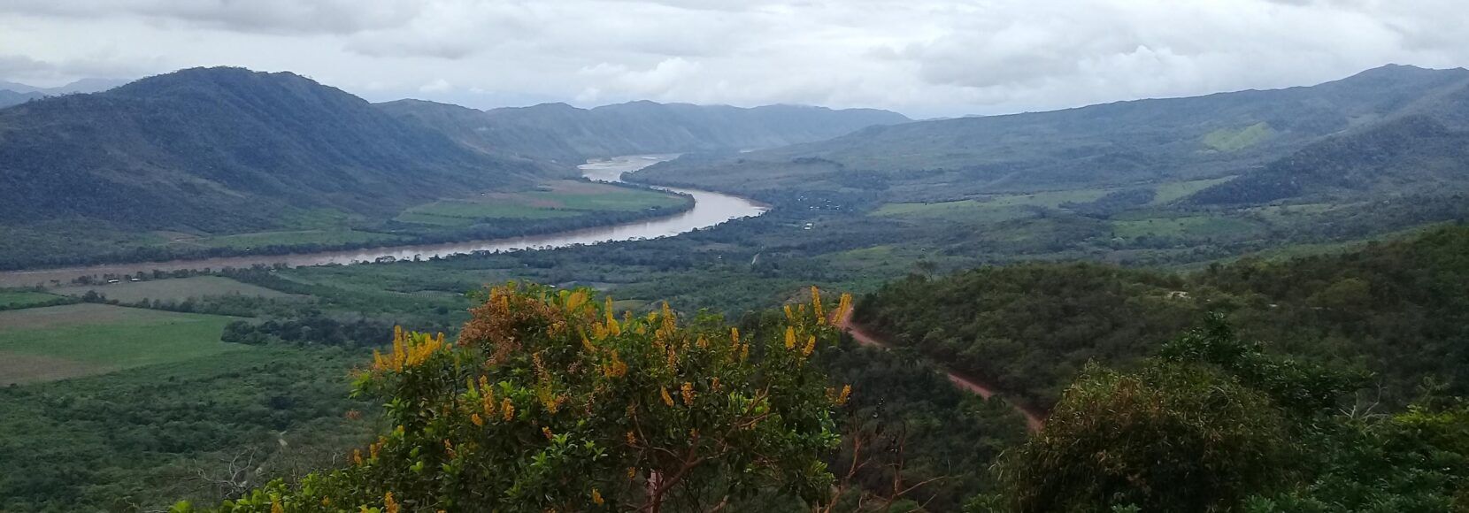 Economic Development in the Amazon Rainforest | TechnoServe