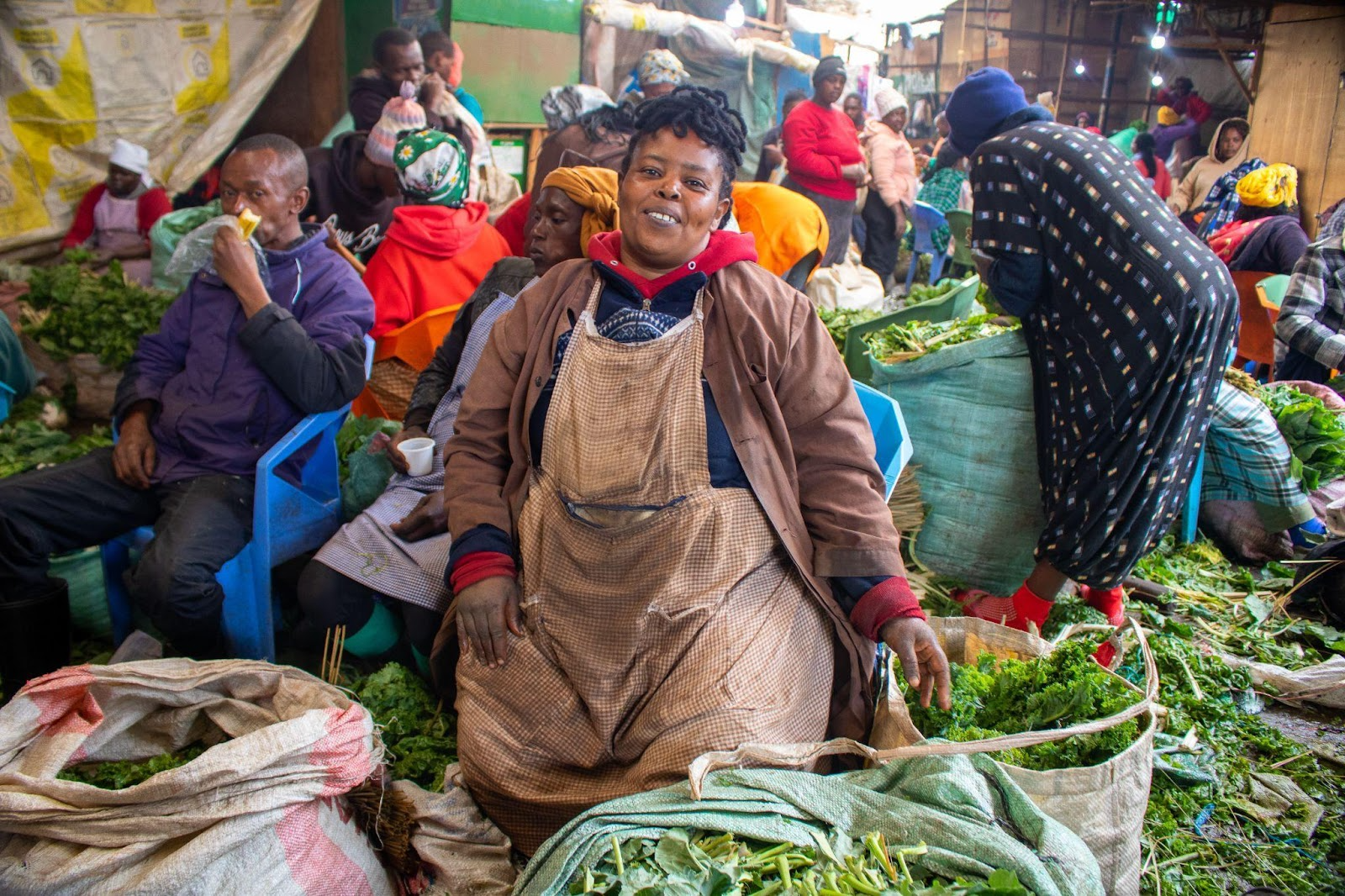 Empowering the Unsung Heroes of the African Food System - TechnoServe