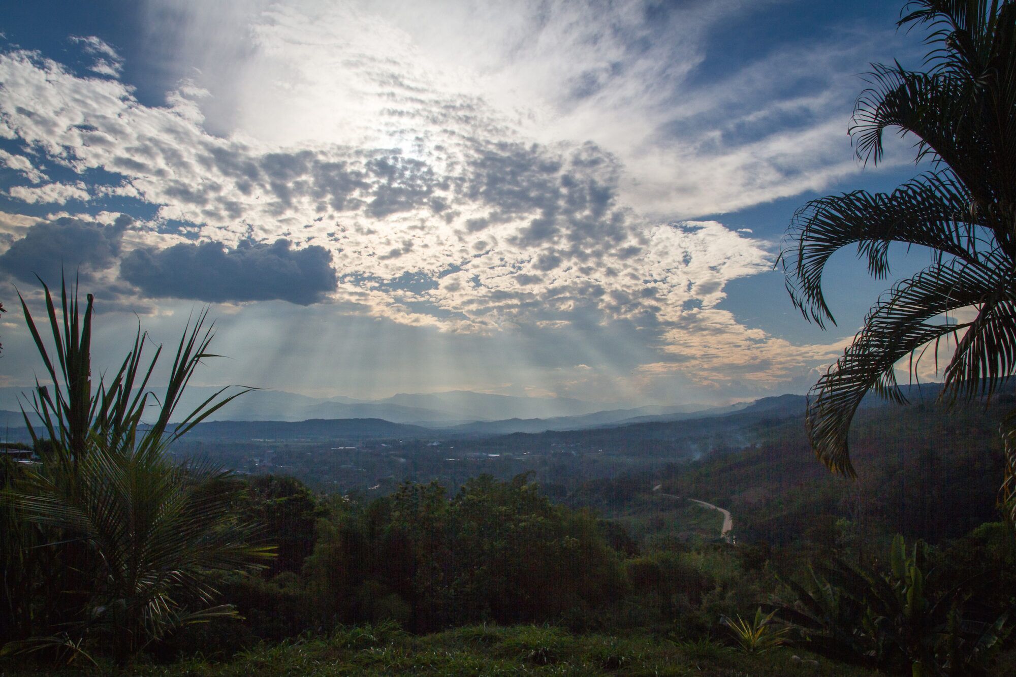 Economic Development in the Amazon Rainforest | TechnoServe