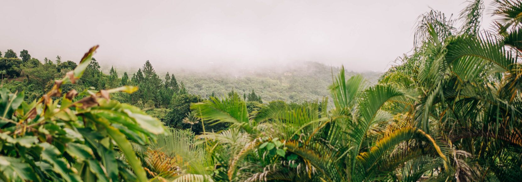 Polygon Mapping: Supporting Sustainable Agriculture