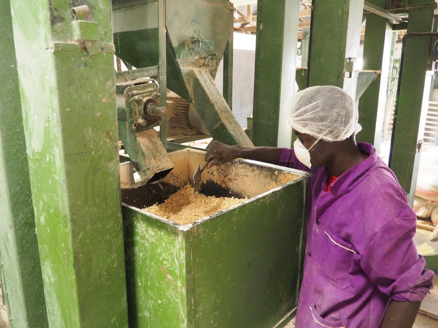 Hidden Hunger: The Invisible Crisis & Sustainable Solutions